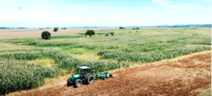 Ilagan Agriculture – The Corn Capital of the Philippines